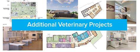 Additional Veterinary Projects Pzs Architects