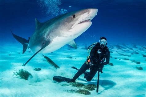 Jett Britnell On Linkedin You Start Dying Slowly If You Do Not Travel If You Do Not Read If