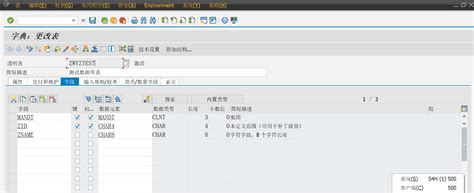【abap】如何理解sap中的client 客户端 Sap Client Csdn博客