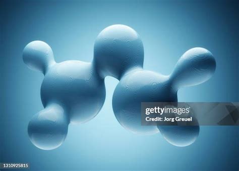 Morphology Photos And Premium High Res Pictures Getty Images