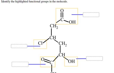 Solved Identify The Highlighted Functional Groups In The