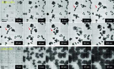 Time Series Of Tem Images Showing A Growth Of Au Dendritic