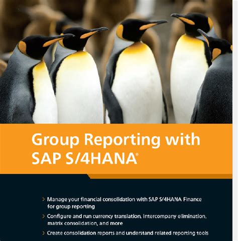英文版 Sap Press Group Reporting With Sap S4hana 共379页 2021年编著 原版pdf 开源资料库