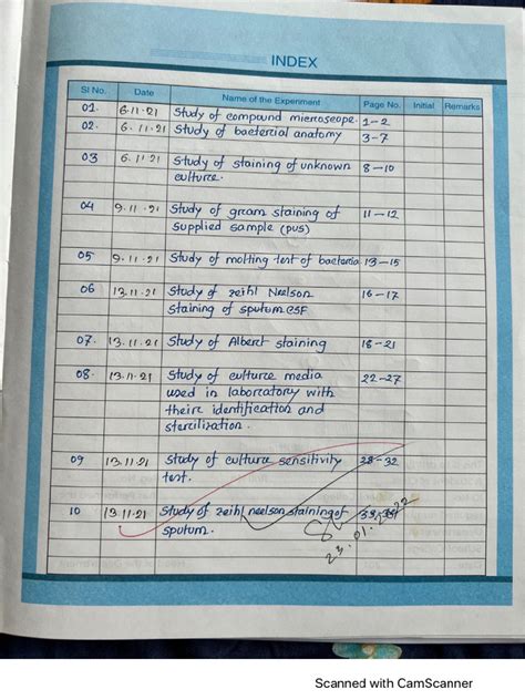 Micro Practical 2 Stain Pdf