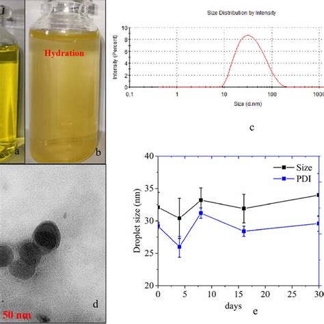 Lipid Packing Around And Inside Pgp The Cytoplasmic Leaflet Lipid Download Scientific Diagram