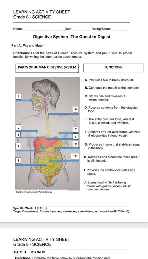 Parts Of Human Digestive System Brainly Ph