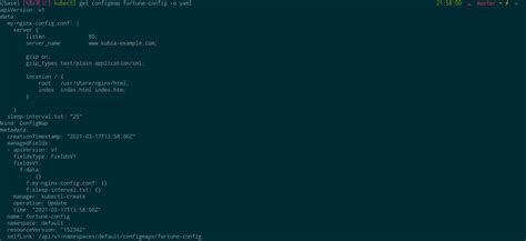 k s学习之路 基础 配置应用程序 老胡的储物柜