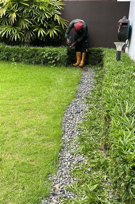 Tree Pruning Grass Cutting And Landscape Maintenance Home Services Others On Carousell