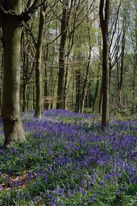 Vellezerit Markaj Foto Te Mrekullueshme Te Natyres Qe I Dhuron Njeriut Foto