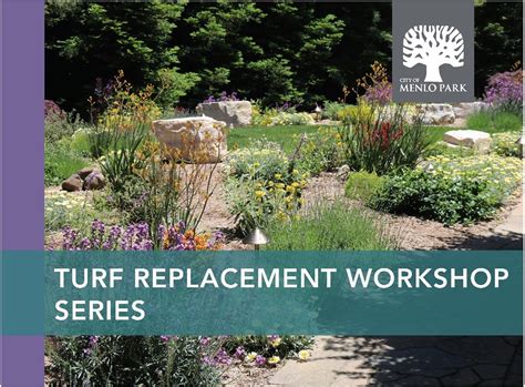 Turf Replacement And Garden Transformation Workshop Oct 14 City Of
