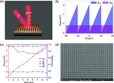 A Schematic Of The Independent Wave Vector Manipulations Of Rp And