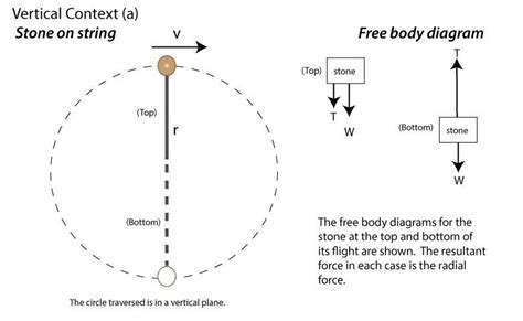 Understanding Circular Motion A Comprehensive Guide To Free Body Diagrams