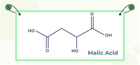 Malic Acid Structure