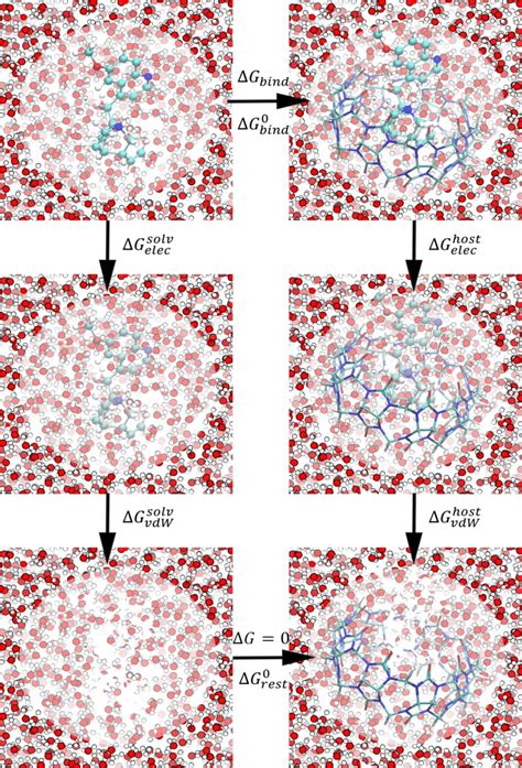 Thermodynamic Cycle For Standard Binding Free Energy Calculations