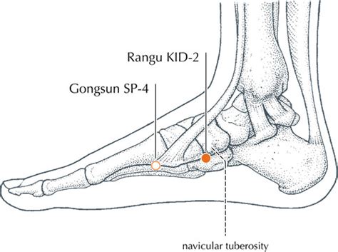 Techniques Ii Flashcards Quizlet