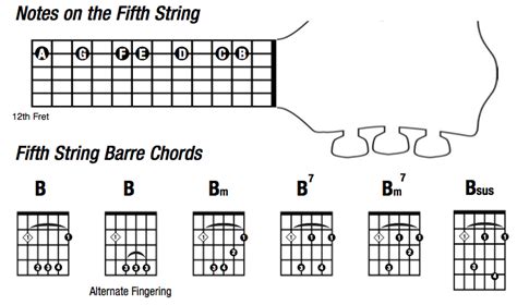 5th String Barre Chords Clearance Shops
