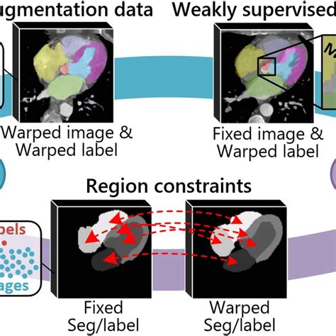 The Complementary Topology And Limitations Of Registration And Download Scientific Diagram