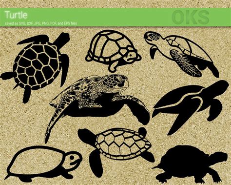 Tortoise Shell Vector At Collection Of Tortoise Shell Vector Free For Personal Use