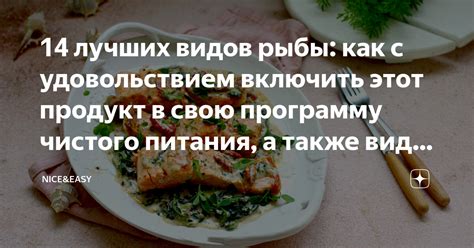 14 лучших видов рыбы: как с удовольствием включить этот продукт в свою ...