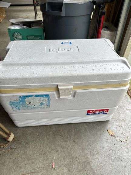 White Igloo Cooler Delaware Auction Center