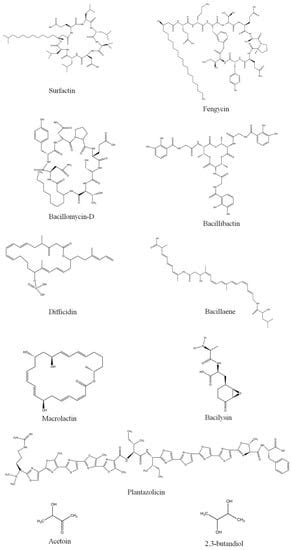 Bacillus Velezensis A Valuable Member Of Bioactive Molecules Within