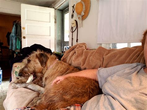 Couch Cuddle And A Bone Makes A Good Morning Even Better Scrolller