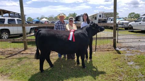 Gcanryo Show Winners Ufifas Extension Escambia County