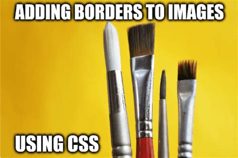 How To Add Borders To Website Images HubPages