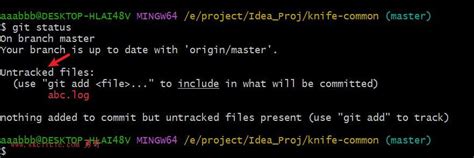 Git 取消文件跟踪tracked改为untracked 版本控制 少有人走的路