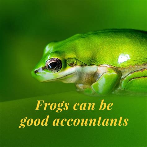 Lovelace Payne Llc On Linkedin Because They Know How To Dibit Cridit Dibit Cridit