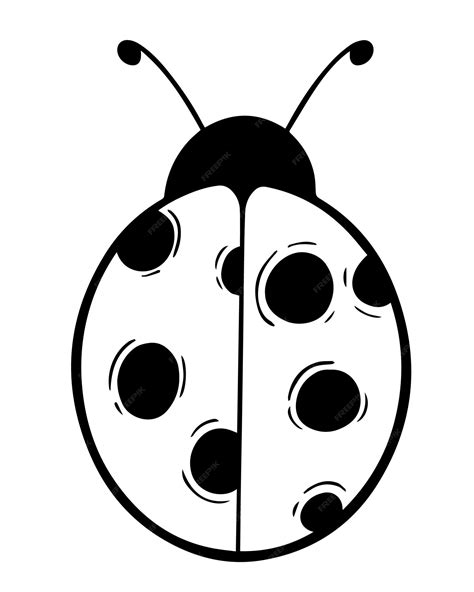 Black And White Ladybug Clip Art