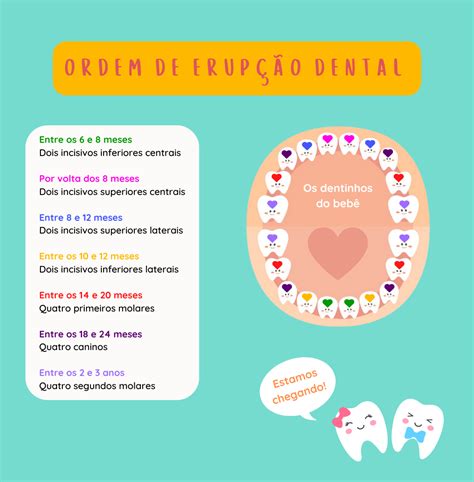 Dentição Decídua
