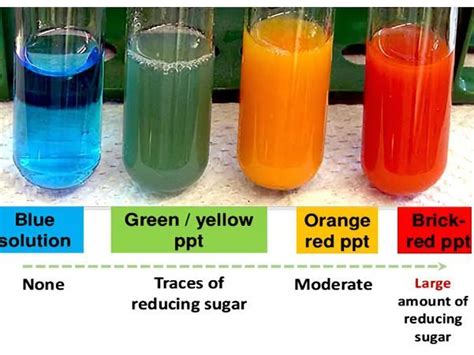 AQA Testing For Carbohydrates Teaching Resources