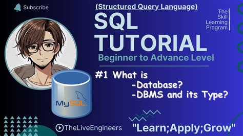 2 What Is Database Dbms And Its Types Skill Learning Program