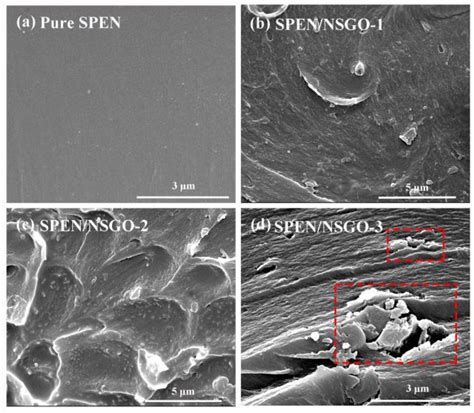 Constructing Continuous Proton Conducting Highways Within Sulfonated Polyarylene Ether Nitrile