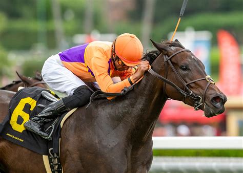 Mandella Opts For Shorter Lady Of Shamrock For Ruby Nell