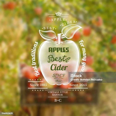 조각 스타일 사과 가운데에 레터링 상자에 빨간 사과의 사진 중심에 실루엣 사이 다 라벨 주스에 대한 스톡 벡터 아트 및 기타 이미지 주스 라벨 오래된 Istock