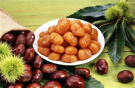 Bursa Türkei Eine Reise Die Sie Nicht Verpassen Dürfen