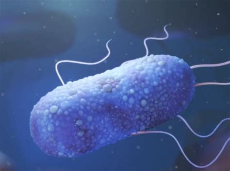 Our Technology Phageguard