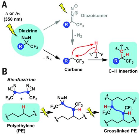 A Broadly Applicable Cross Linker For Aliphatic Polymers Containing C H