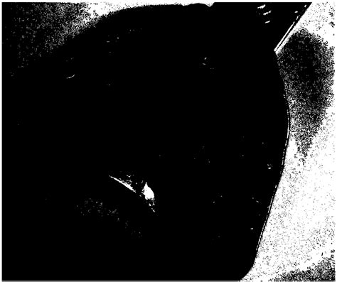 An Identity Recognition Method Based On Eigenstructure Of Dental Imprint Model Eureka Patsnap