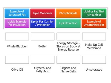 Lipids Match Up