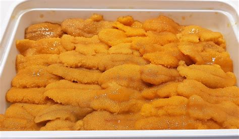 Frozen Uni 100g China Global Pacific Victory