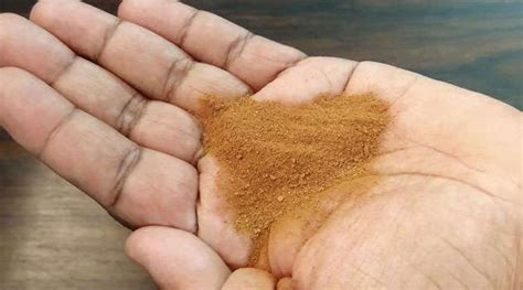 Dalchina Chekka Chai Pakodi