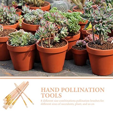 Cabilock 8pcs Plant Pollinator Succulent Pollination Tool Pollination