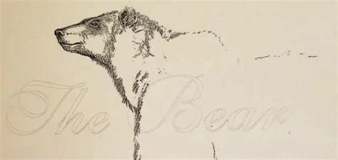 Out Of The Rut Kat Dancer May 2025 High Country News