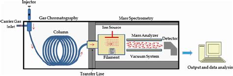 Gas Chromatography Mass Spectrometry Principle Instrumentation Advantages And 10 Reliable