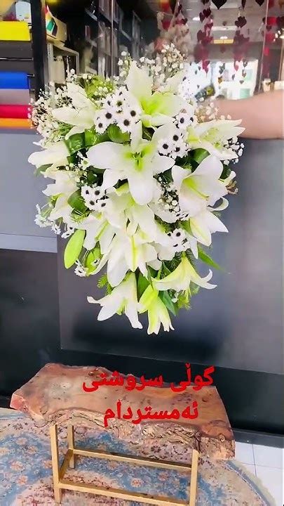 گوڵی سروشتی ئەمستردام Youtube