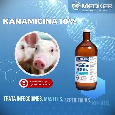 Shorts Kanamicina 10 AntibiÓticos Y QuimioterÁpicos Mediker