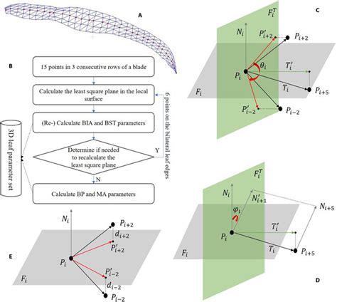 Schematic Diagram Of The 3d Leaf Shape Feature Parameter Calculation Download Scientific